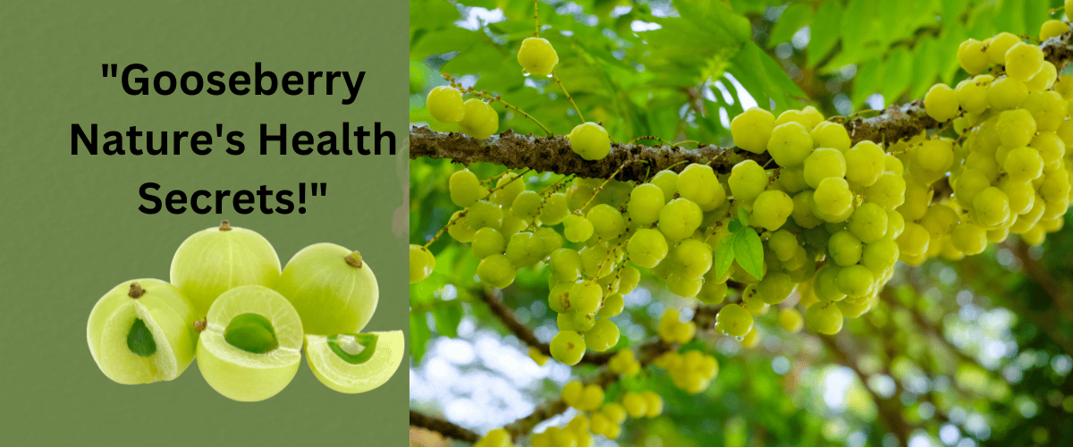 Gooseberry Power Bliss 101: Discover Nature's Health Secrets
