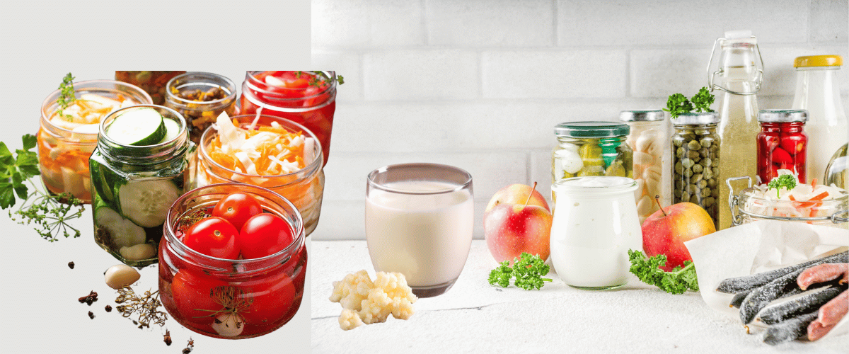 Fermented Foods Explore: the No.1 Powerful Health Secrets