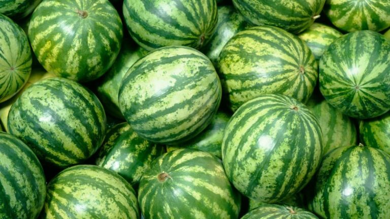 How to Pick a Watermelon Your No.1 Powerful Superfood